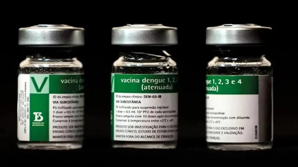 Paraíba registra 71 eventos adversos e suspende vacinação contra dengue ...